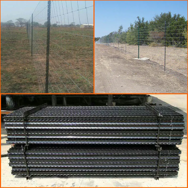 Economical Jackal Fencing - Durable and Efficient Solutions