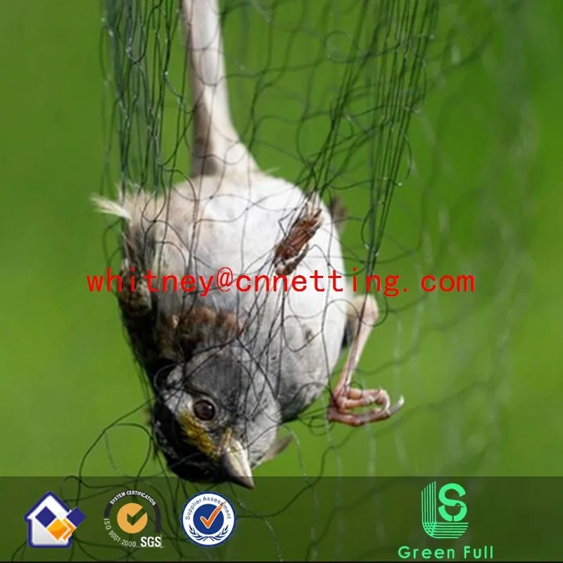 100% Nylon Bird Mist Net - Effective Bird Control Solutions
