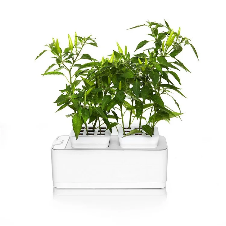 Indoor Mocle Smart Mini Garden Hydroponic Flower Pot Grow System - Buy ...