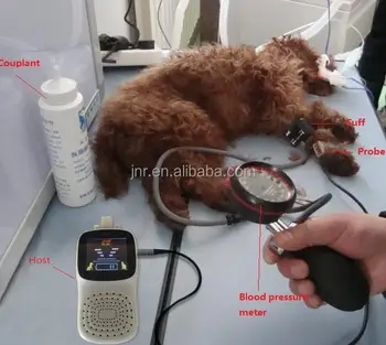 Vet Veterinary Animal Pet Doppler Blood Pressure Bp Monitor - Buy ...