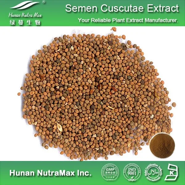 Top Quality Semen Cuscutae Extract,Semen Cuscutae Powder Extract,Semen ...
