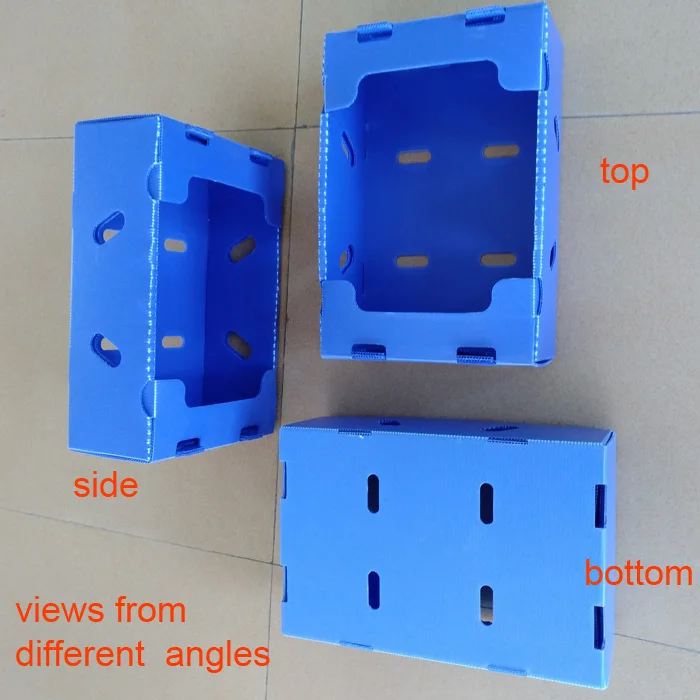 Polypropylene Corrugated Plastic Fruit Boxes for Berries