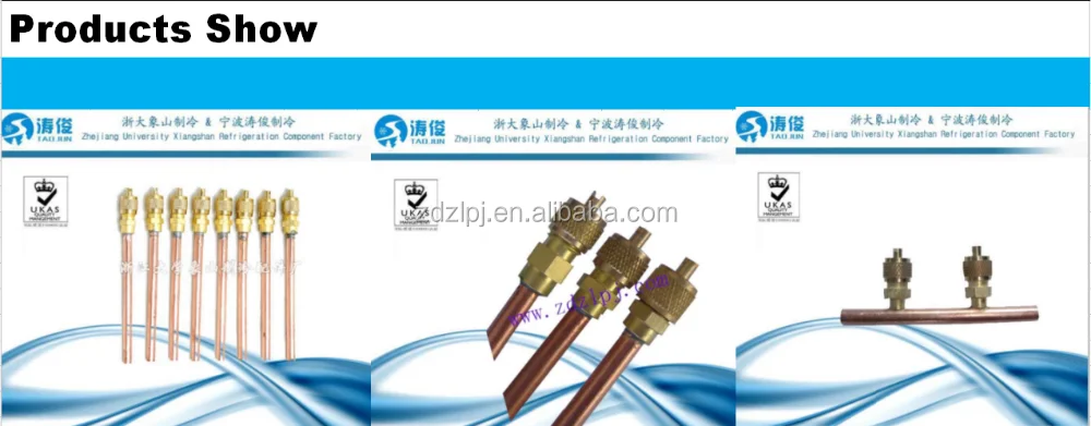 Brass Fitting Schrader Valve Pin Valve Access Valve - Buy Schrader ...