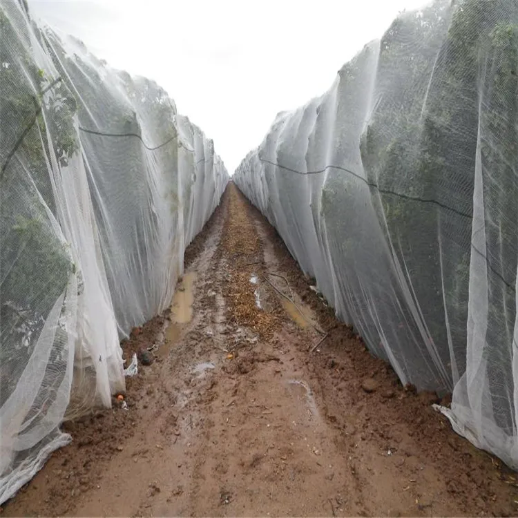 White Hail Protection Net,Cheap Batting Cage Wholesale Netting - Buy ...