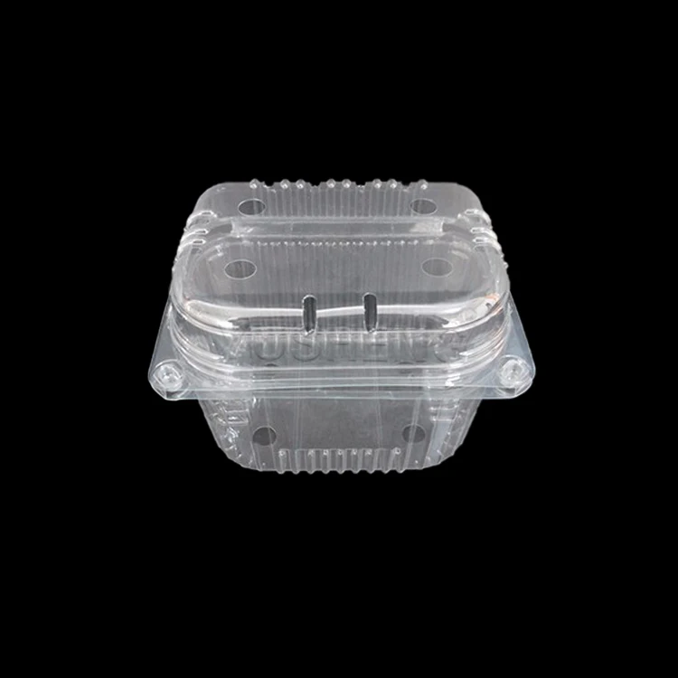 Small Plastic Clear Transparent Storage Food Collection Pp Bento ...