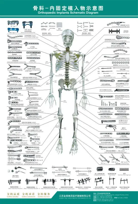 Humeral Hard Fracture Plates Left And Right Types Metal Bone Plate ...