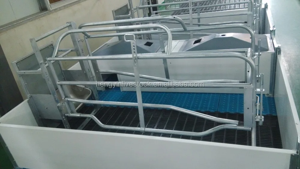 Pig Farming Equipment Gestation Crates/gestation Pen/hot Dipped ...