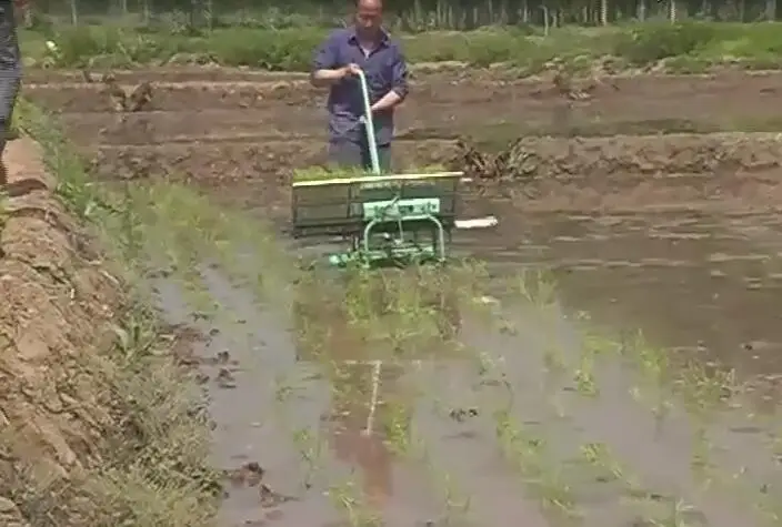 Rice Planting Machine - Efficient Manual Transplanter