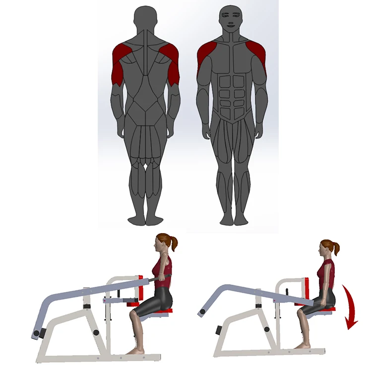 Weighted Dip Machine - Seated Dip Machine for Gym Assise