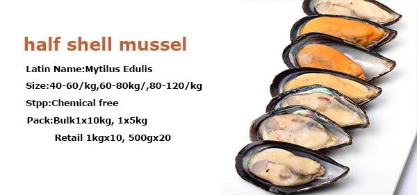 Hot Sale Export Dried Mussel - Buy Dried Mussel,High Quality Dried ...