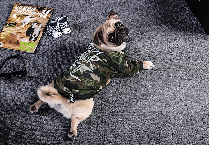 Pet Small Camouflage North-face Dog Jacket Dog Coat - Buy North-face ...
