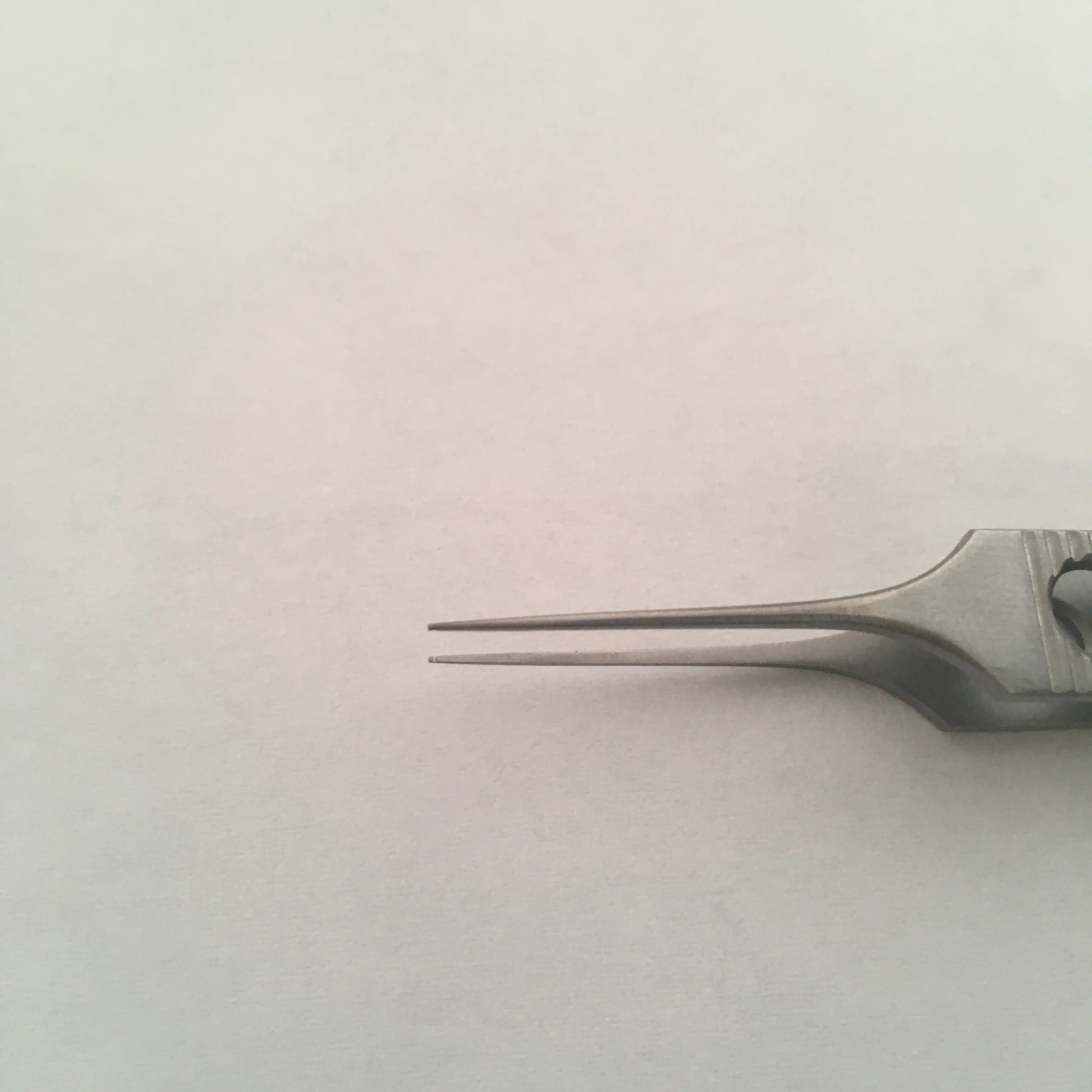 Hoskins Forceps Notched Forceps - Single Use Stainless Steel