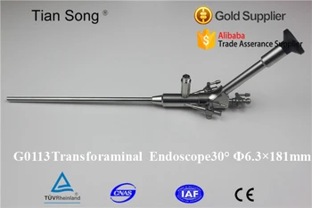 Transforaminal Endoscopic Endoscope Percutaneous Endoscopic Lumbar ...