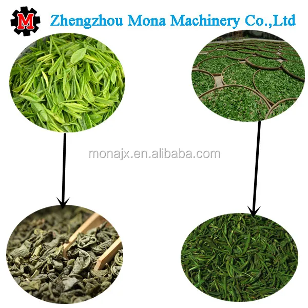 High Efficient Tea Leaves Kneading Machine - Green Tea Roller