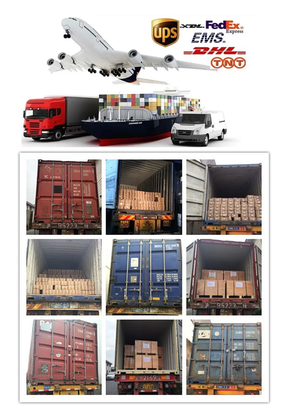 BL534 BL623 BL834 BL1234 Leaf Chains - Durable & Versatile