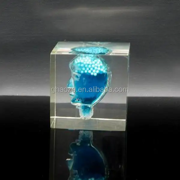 Custom Liquid Stomach In Acrylic Embedment Stomach Cube Paperweight ...