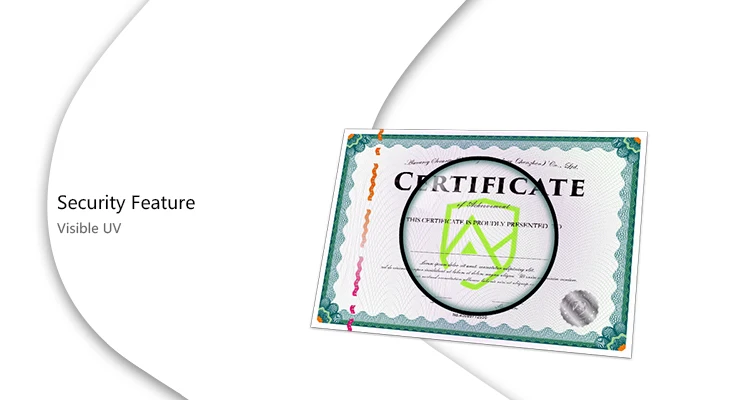 Custom A4 Security Certificate Printing With Watermark And Security ...