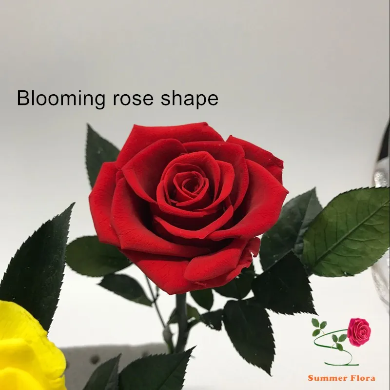 Wholesale Preserved Flower Real Stabilized Roses Beautiful Preserved ...