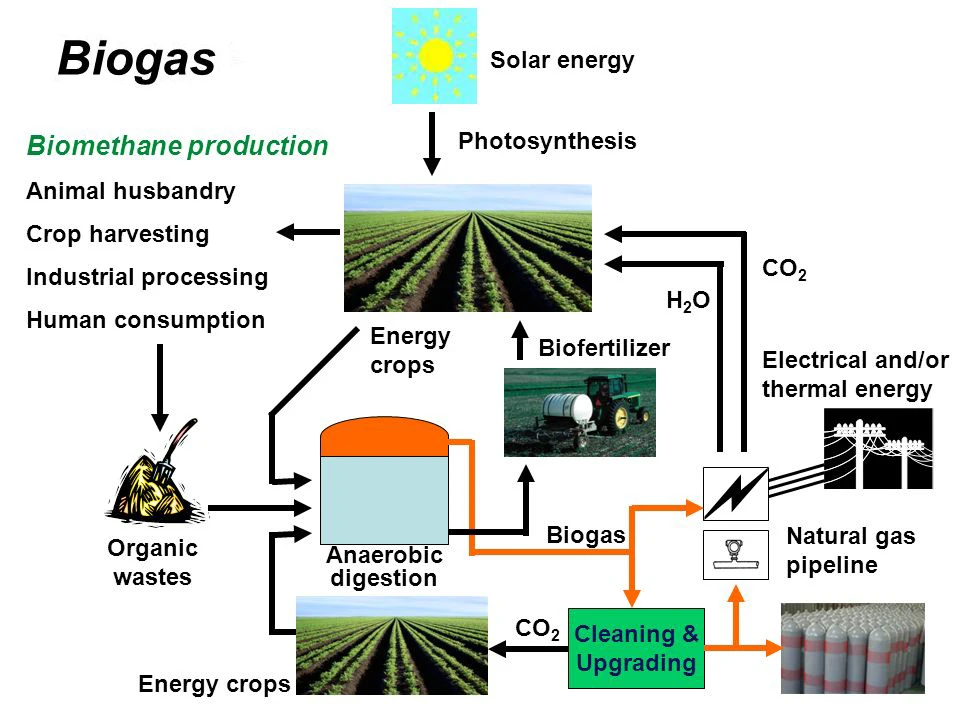 CO2 Biogas Analyzer - Portable Solution for Mini Plants