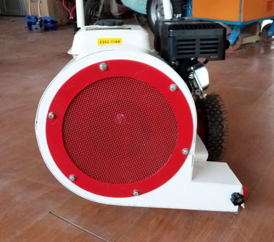 Efficient Asphalt Cleaning with Small Concrete Road Blower
