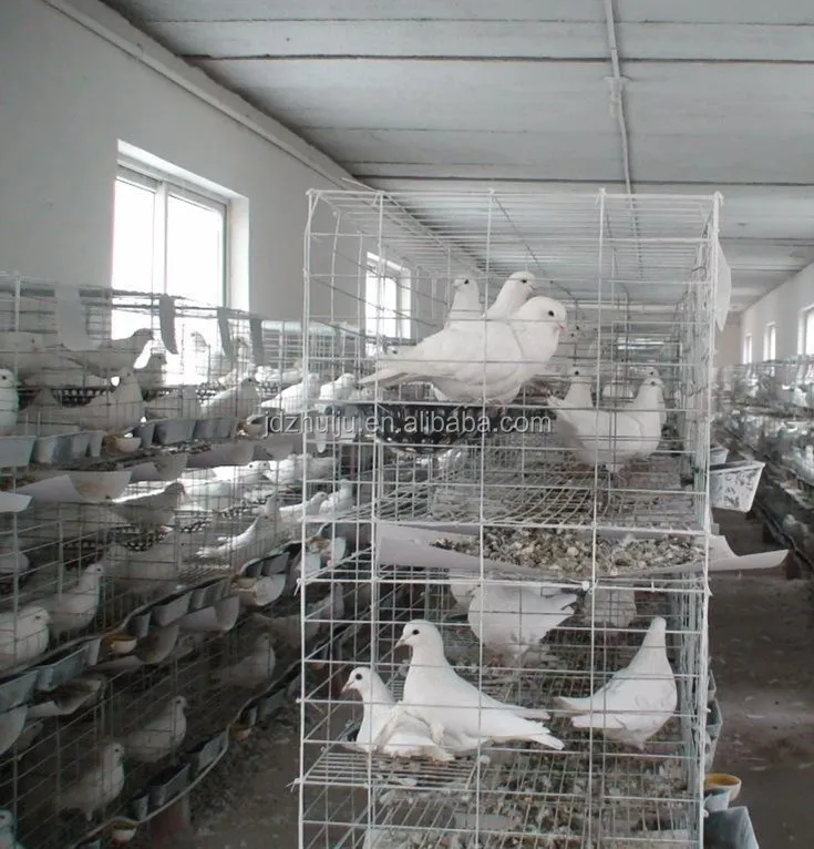 HJ-PC24 Pigeon Breeding Cage - Durable & Flexible Design