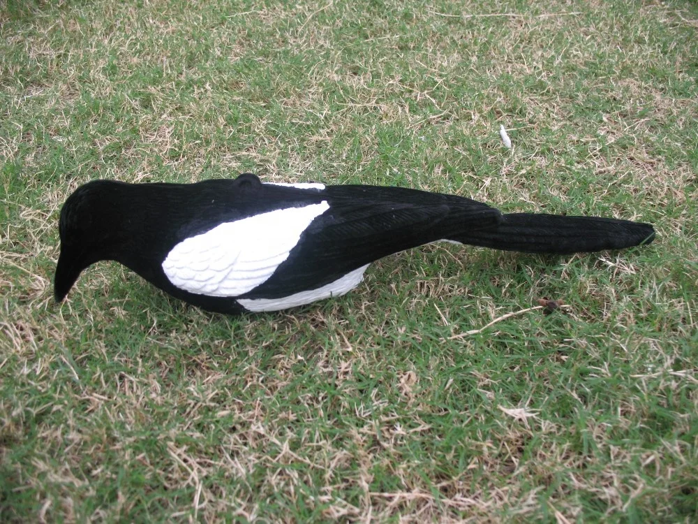 Flocked Decoys Trick Magpie Shooting Cage Birds Painted Hunting Decoy