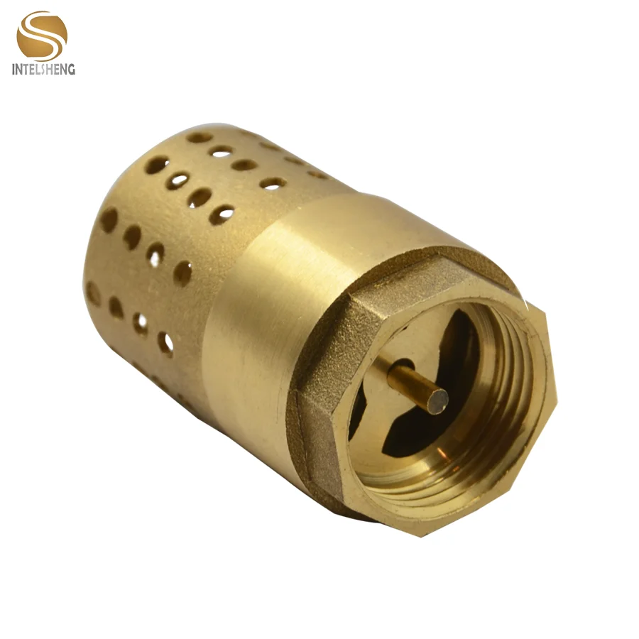 2 Inch Brass Poppet Female Thread Spring Check Valve