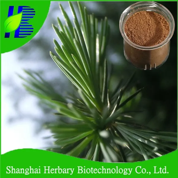 Top Quality Pine Needle Extract Powder Proanthocyanins 20:1 - Buy Pine ...