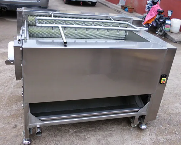 Stainless Steel Clam Cleaning Machine Sea Shells Washing Machine For ...