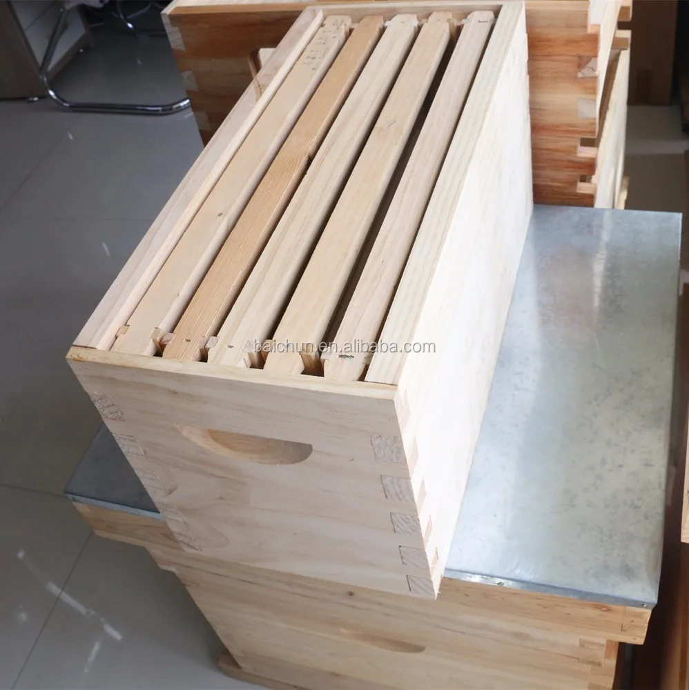 Flat Packing Polypropylene Nuc Bee Hive Box,Plastic Nuc Bee Hive With ...