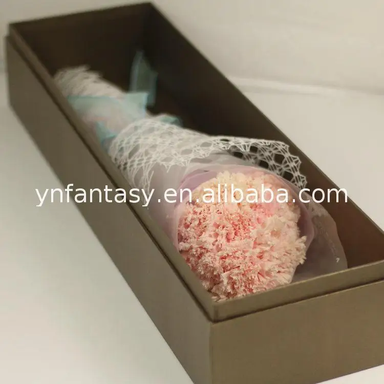 Dried Carnations Flowers Preserved Alibaba Online - Buy Carnations ...