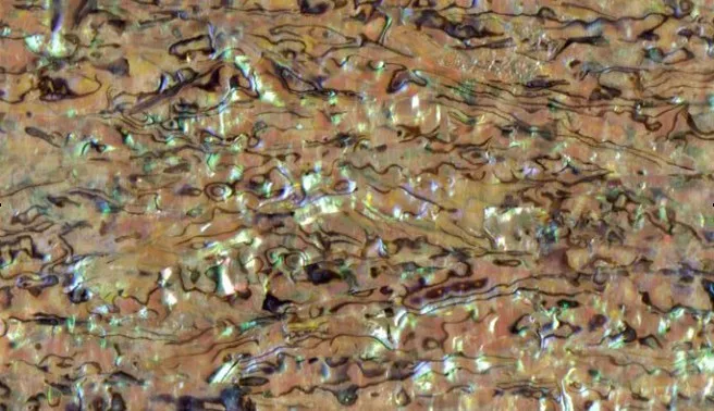 New Zealand Paua Shell Laminate Abalone Shell Sheets For Inlay ...