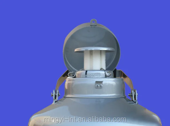 10L Portable Liquid Nitrogen Tank - Efficient Transport