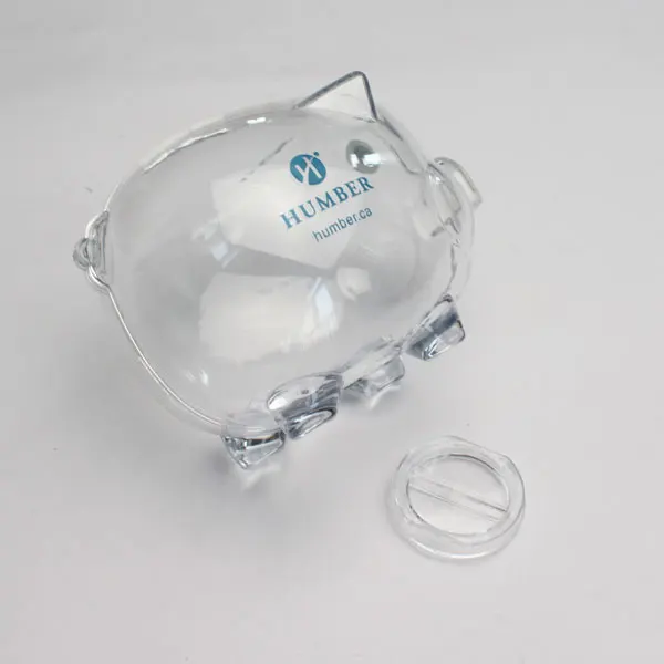 Cute Design Clear Plastic Coin Bank - PINBO PT5418-1