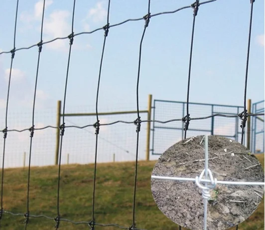 Hot Dipped Galvanized 13/115/15 Ringlock Fencing 13/115/30 Hinged Joint ...