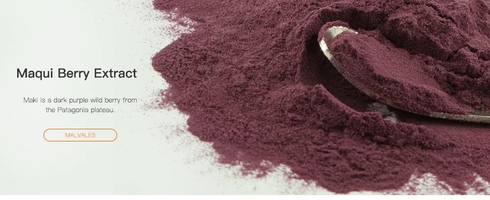 Health Supplement Maqui Berry Extract Powder - Buy Bulk Maquiberry ...