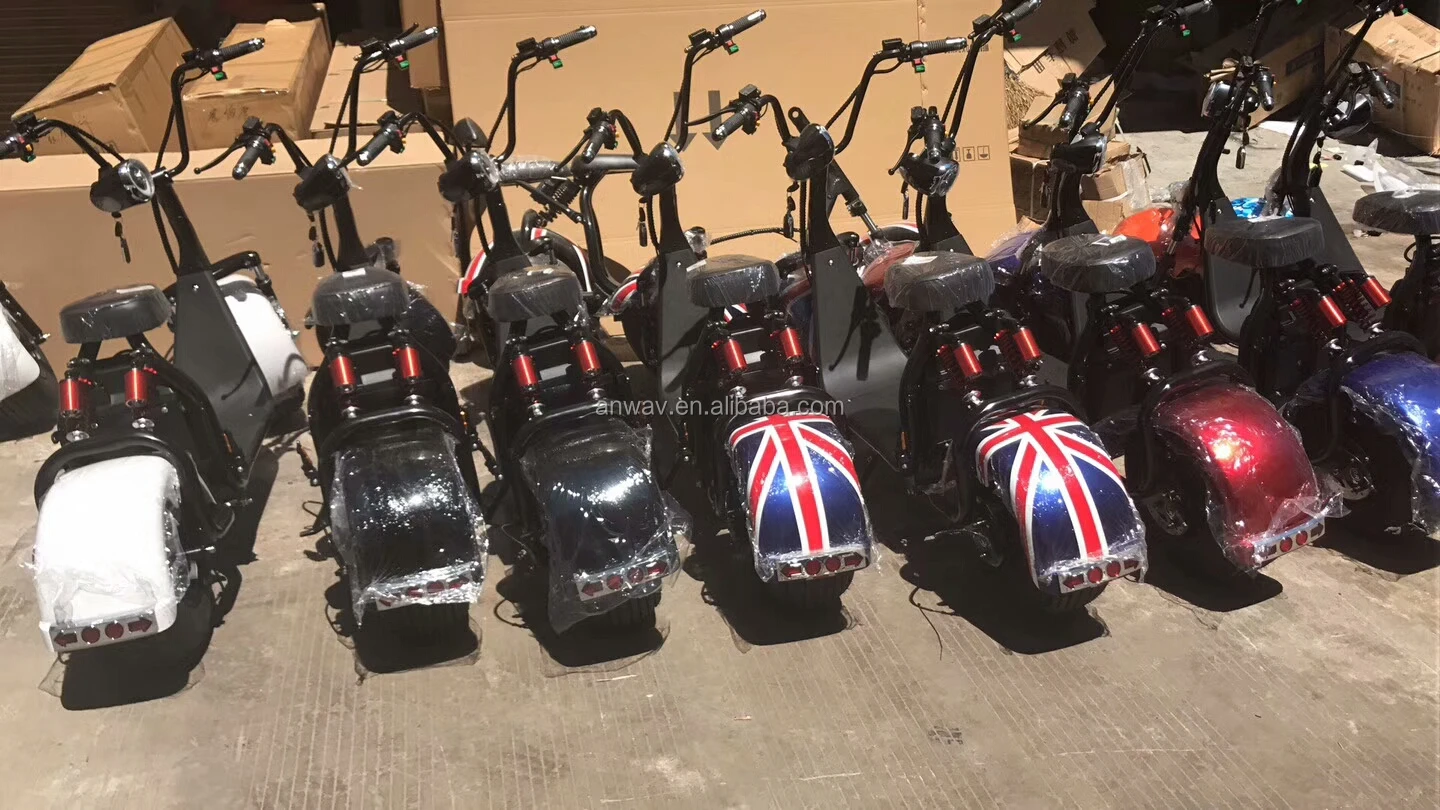 Ecorider Citycoco Electric Scooter - 1500W Power & Fat Tires