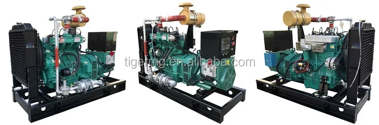 25kva Small Biogas Plant Single Phase Biogas Generator Kit - Buy Biogas ...