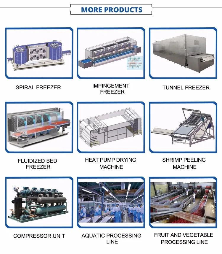 1500kg/h IQF Tunnel Freezer for Efficient Seafood Freezing