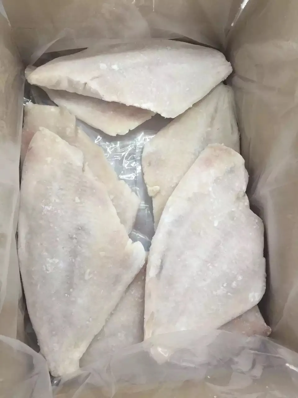 Frozen Black Pomfret Fish Brama Brama Fillet - Buy Black Pomfret ...