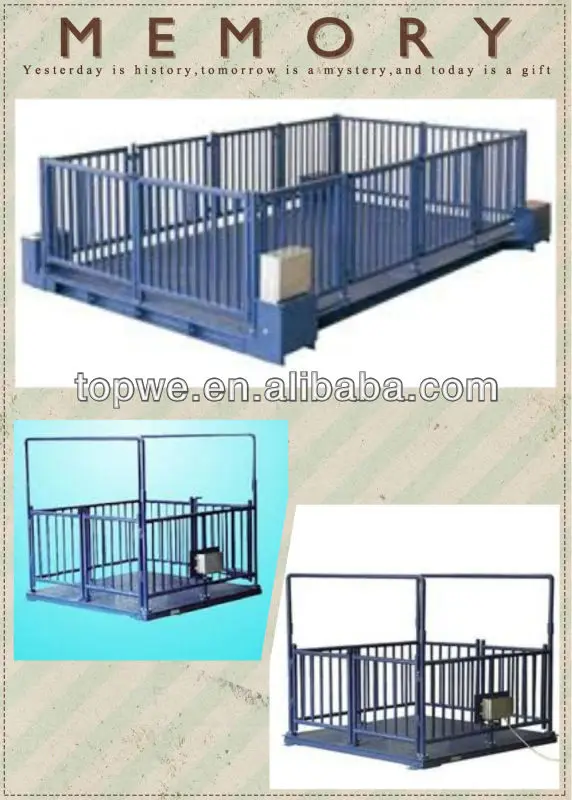 500kg Animal Weighing Floor Scale for Cow, Sheep, and Horse