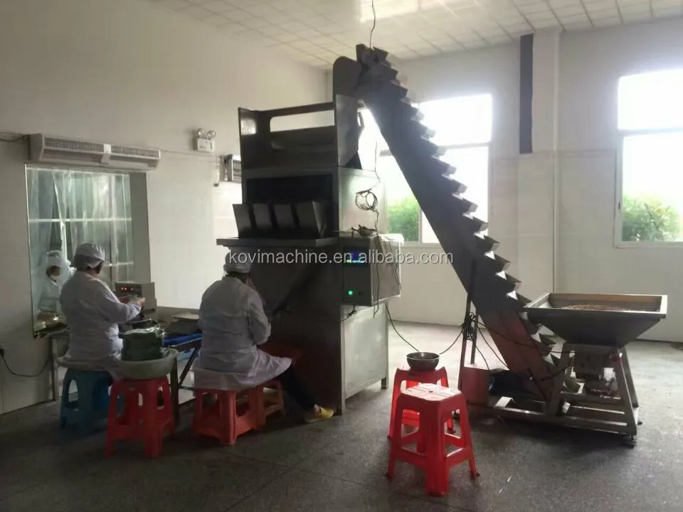 Stainless Chain Hopper Food Grain Bucket Elevator Hoist For Grain - Buy ...