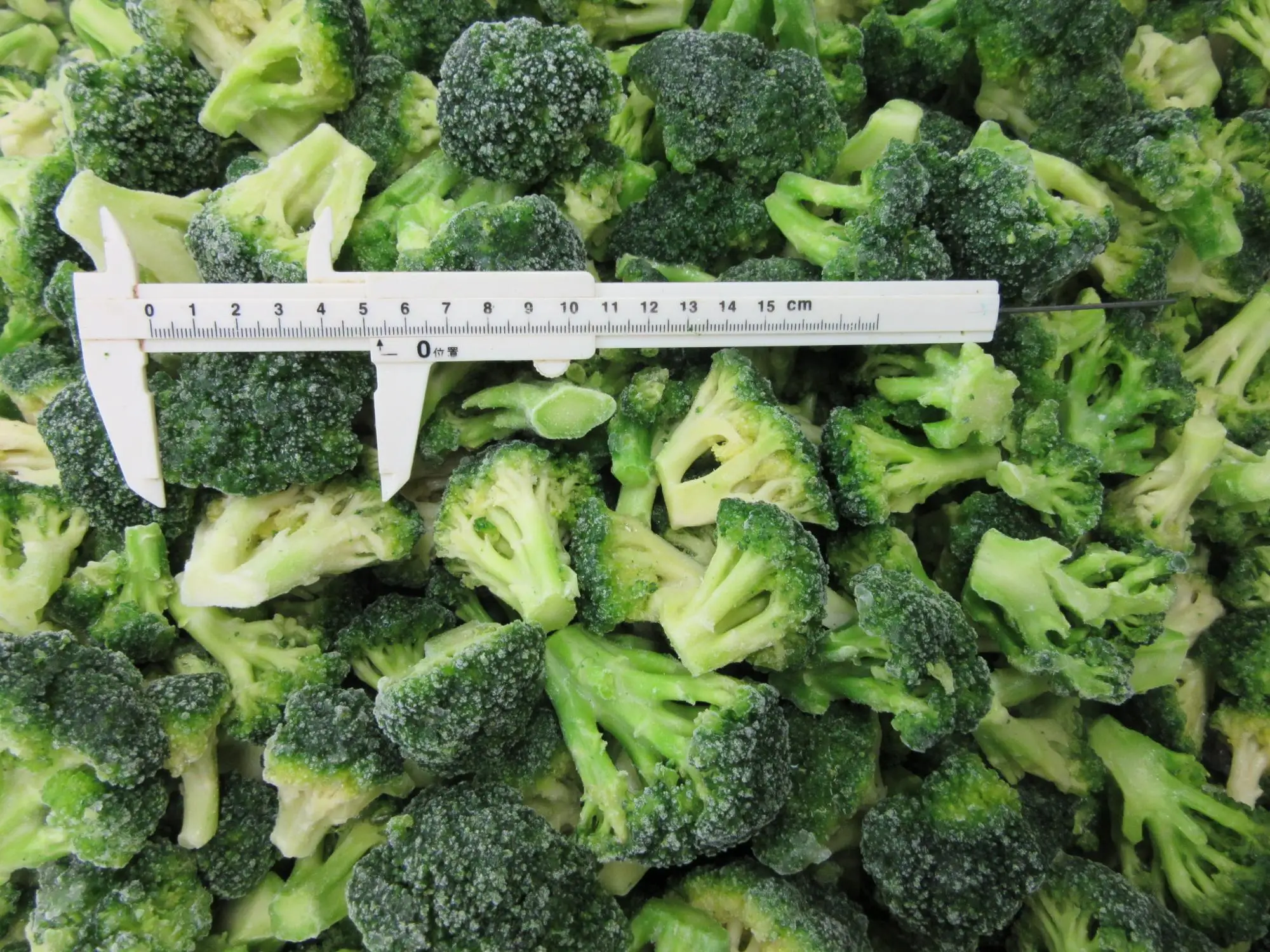 Worm Free X Ray Inspected Frozen Chinese Broccoli Florets