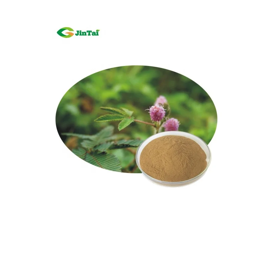 Natural Mimosa Hostilis Root Bark Extract Powder 1kg Mimosa Hostilis 1 ...