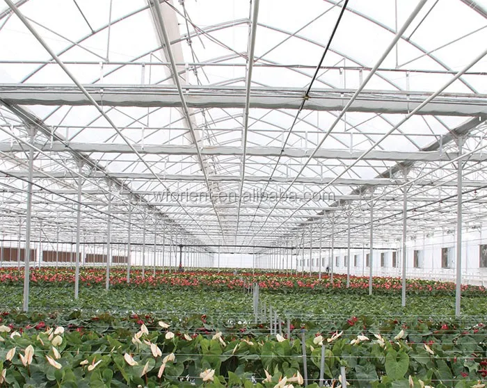 Agricultural Greenhouse Israel for Sale - Durable & Efficient