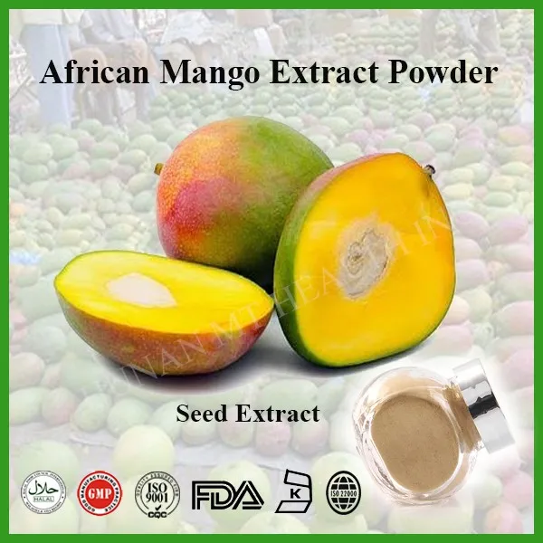 100% Natural Mango Seed Extract/african Mango Extract Powder/irvingia ...