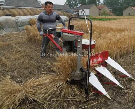 Mini Tractor Running Corn Reaper Binder/corn Harvesting And Bundling ...