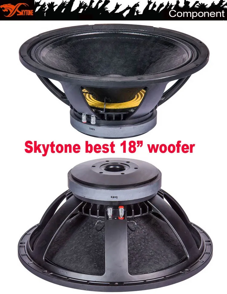 Skytone Biggest Power Dual 18 Inch Bass Bin Subwoofer Speaker Box - Buy ...
