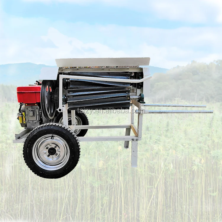 Kenaf Ramie Fiber Processing Machinery - Hemp Decorticator