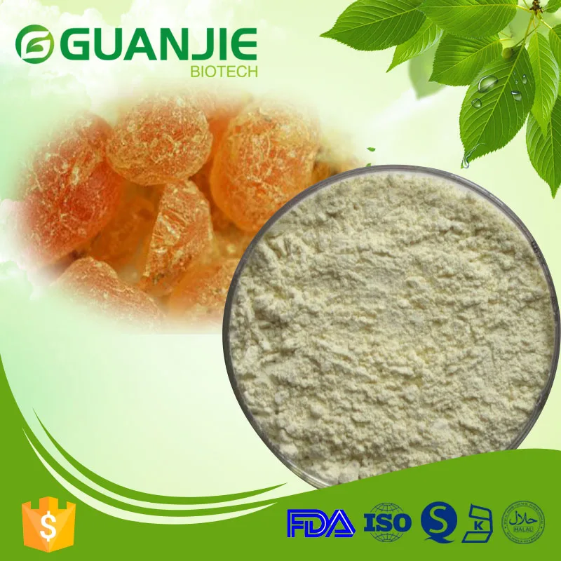 High Quality Natural Gum Arabic Powder / Instant Gum Arabic Powder ...